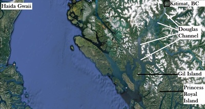 Terrace Daily: CULLEN REJECTS TRANSPORT CANADA DOWNPLAYING ENBRIDGE RISK